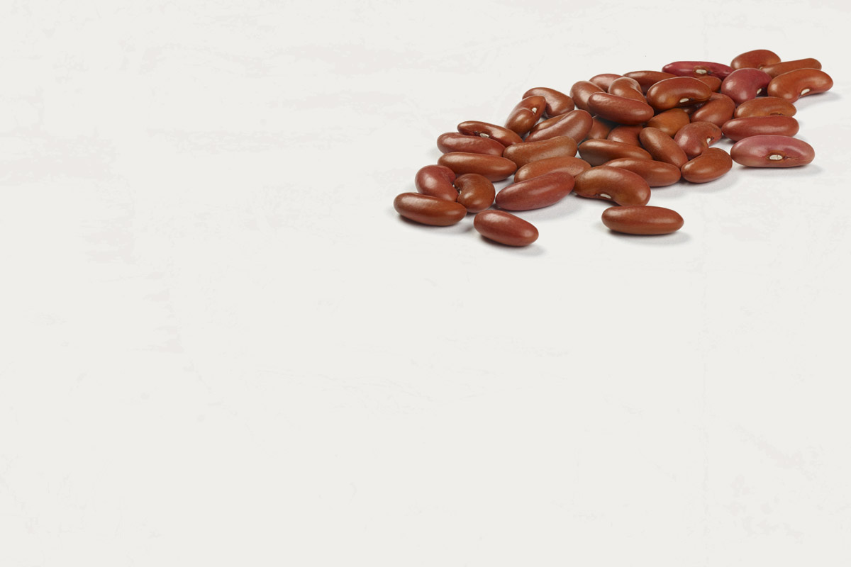 What Are Red Kidney Beans? :: about-beans :: Camellia Brand