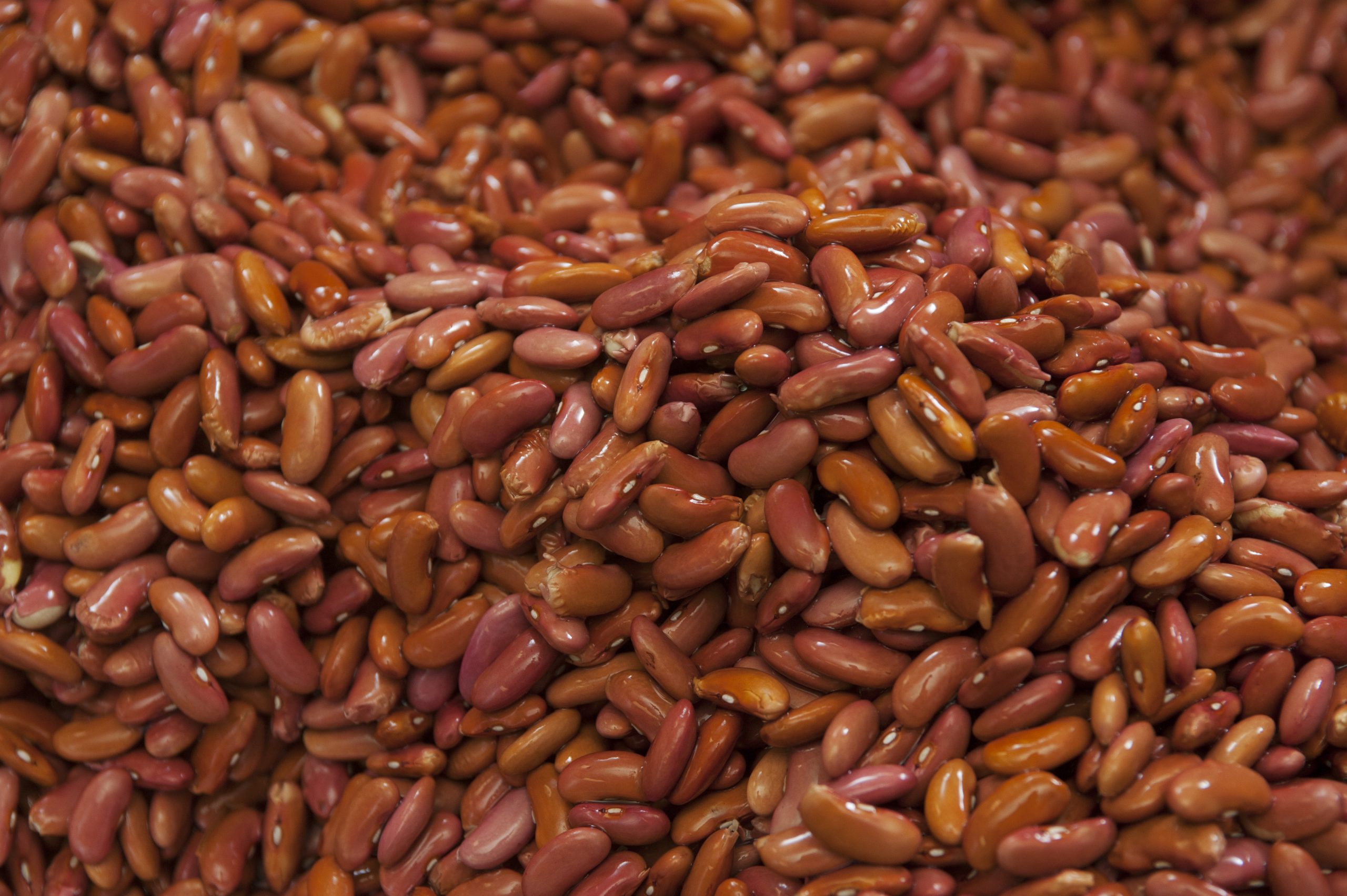 Why Beans? They're Nutritional Powerhouses In Your Diet